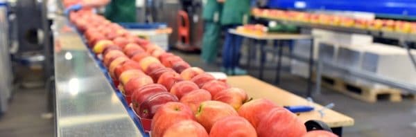 Peracetic acid disinfection in the food industry - Proquimia