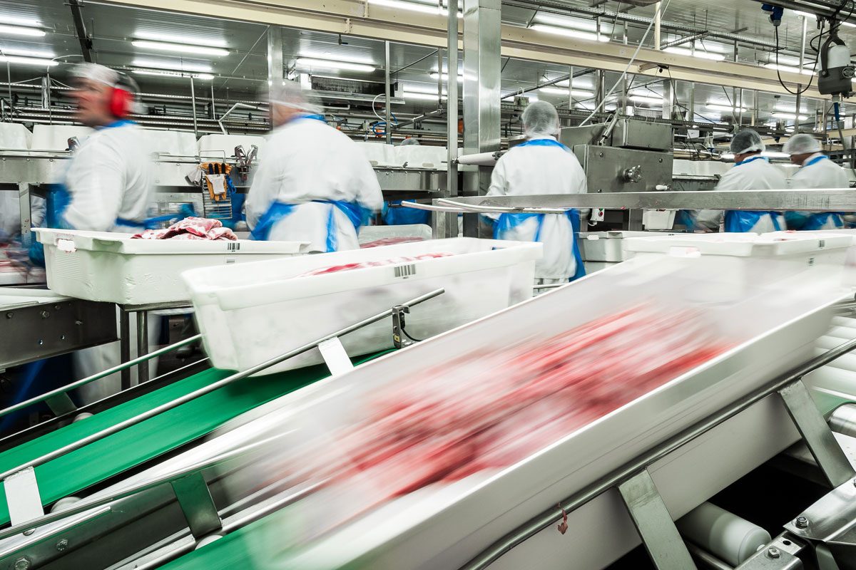 Alimentos procesados - Proquimia