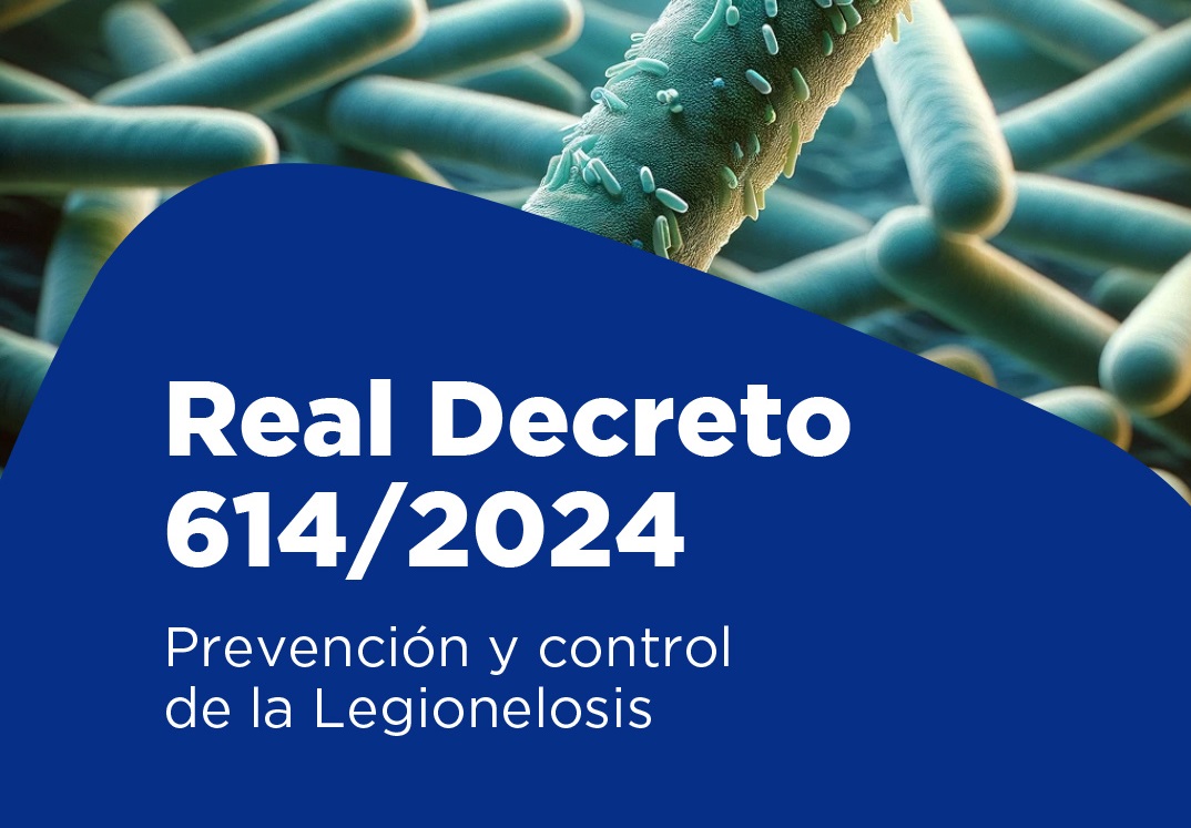 Publicación del Real Decreto 614/2024 que modifica el Real Decreto 487/ ...